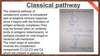 Complement system1435 | PPTX