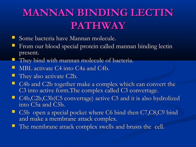 Complement system 2nd sem immunology | PPT