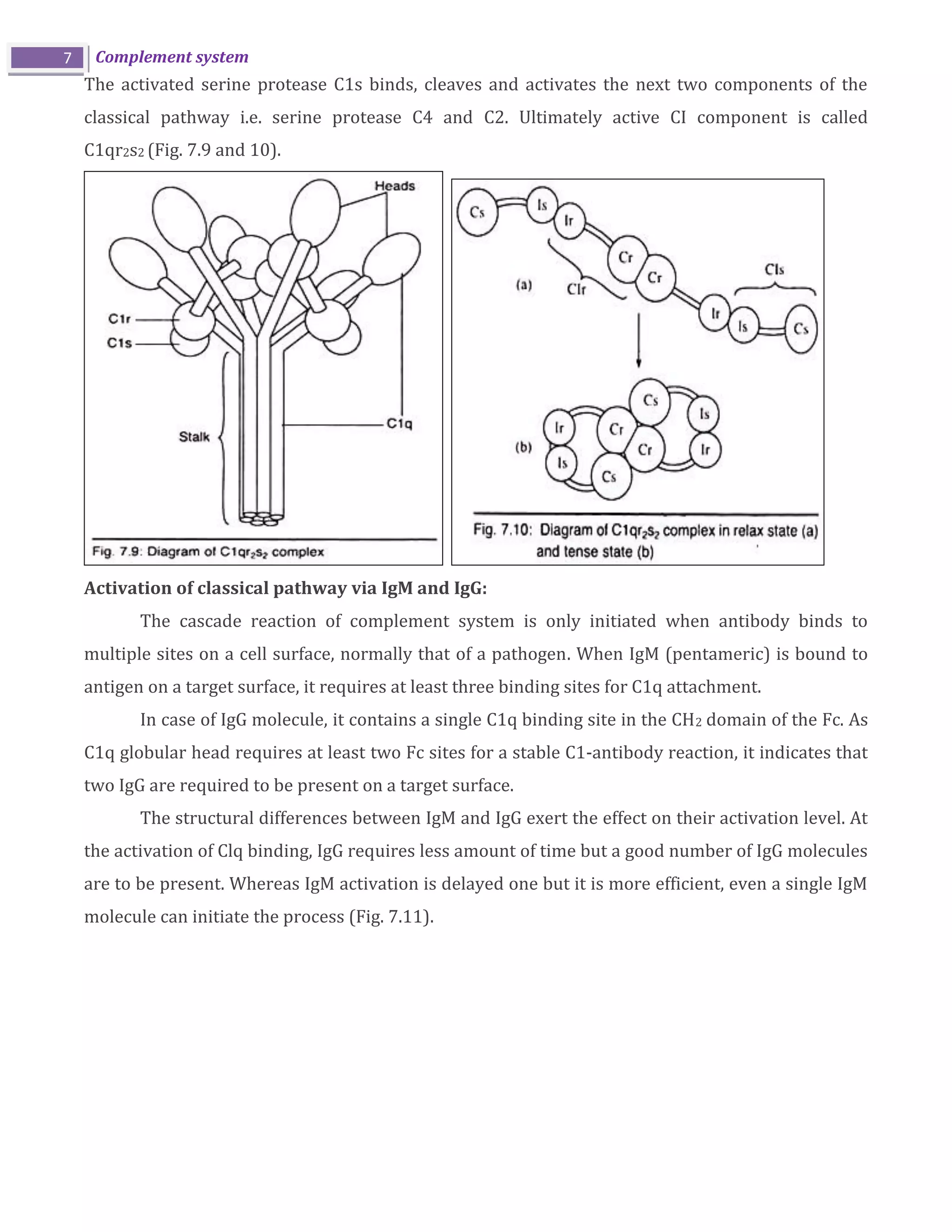 Complement system and cytokines | PDF