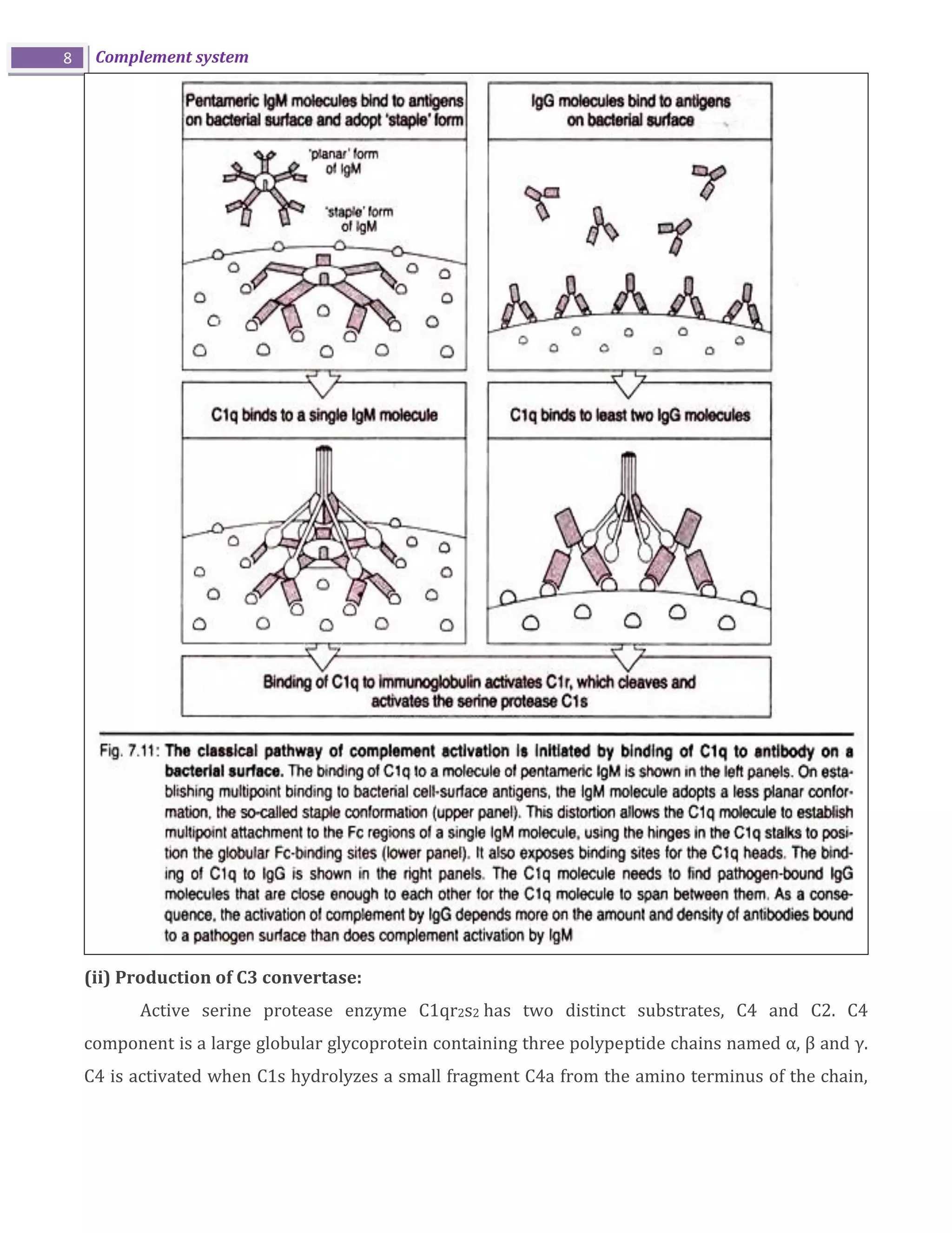 Complement system and cytokines | PDF