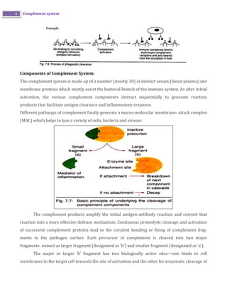 Complement system and cytokines | PDF