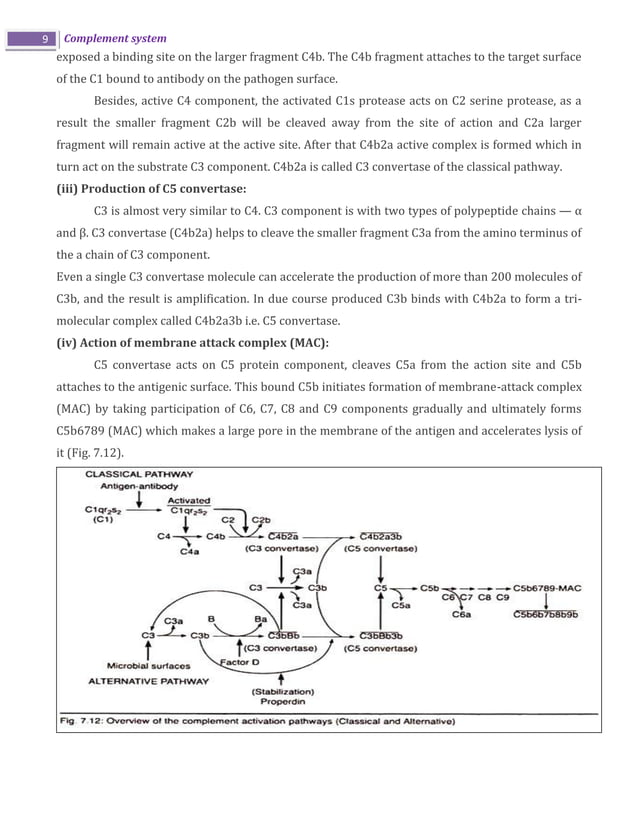 Complement system and cytokines | PDF