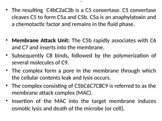 Complement_System_and_its_Clinical_Correlations_lecture-2024.pptx
