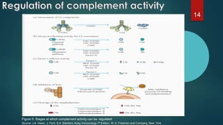 Complement system and its regulation | PPTX