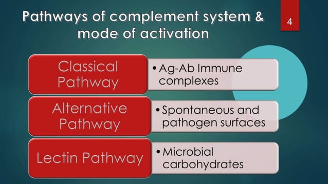 Complement system and its regulation | PPTX