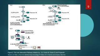Complement system and its regulation | PPTX