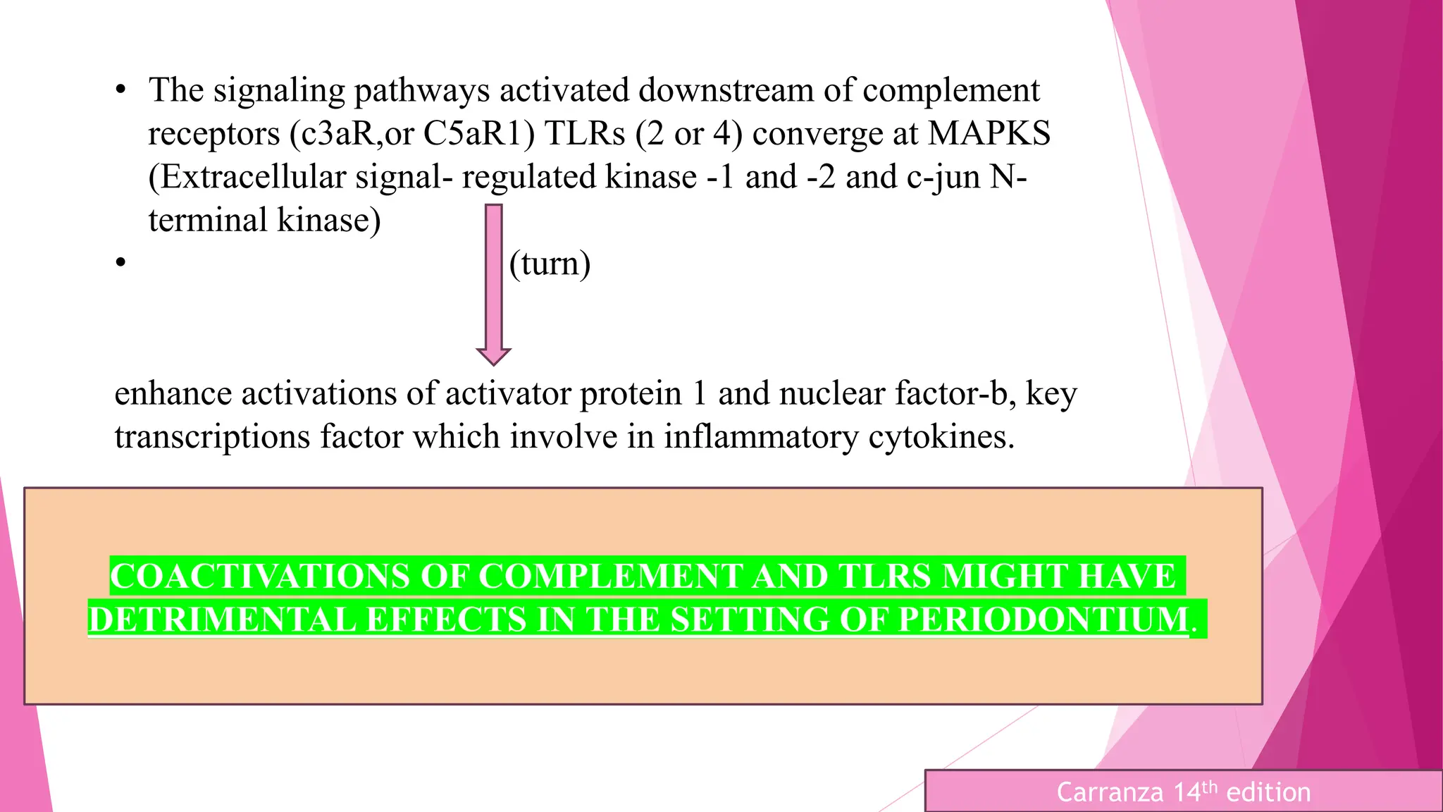 COMPLEMENT SYSTEM AND ITS ROLE IN PERIODONTAL INFLAMMATION.pptx