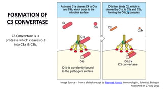 Complement system by rupesh trivedi | PPT