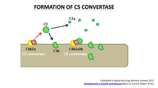 Complement system by rupesh trivedi | PPT