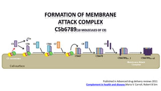 Complement system by rupesh trivedi | PPT