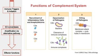 Complement system by rupesh trivedi | PPT