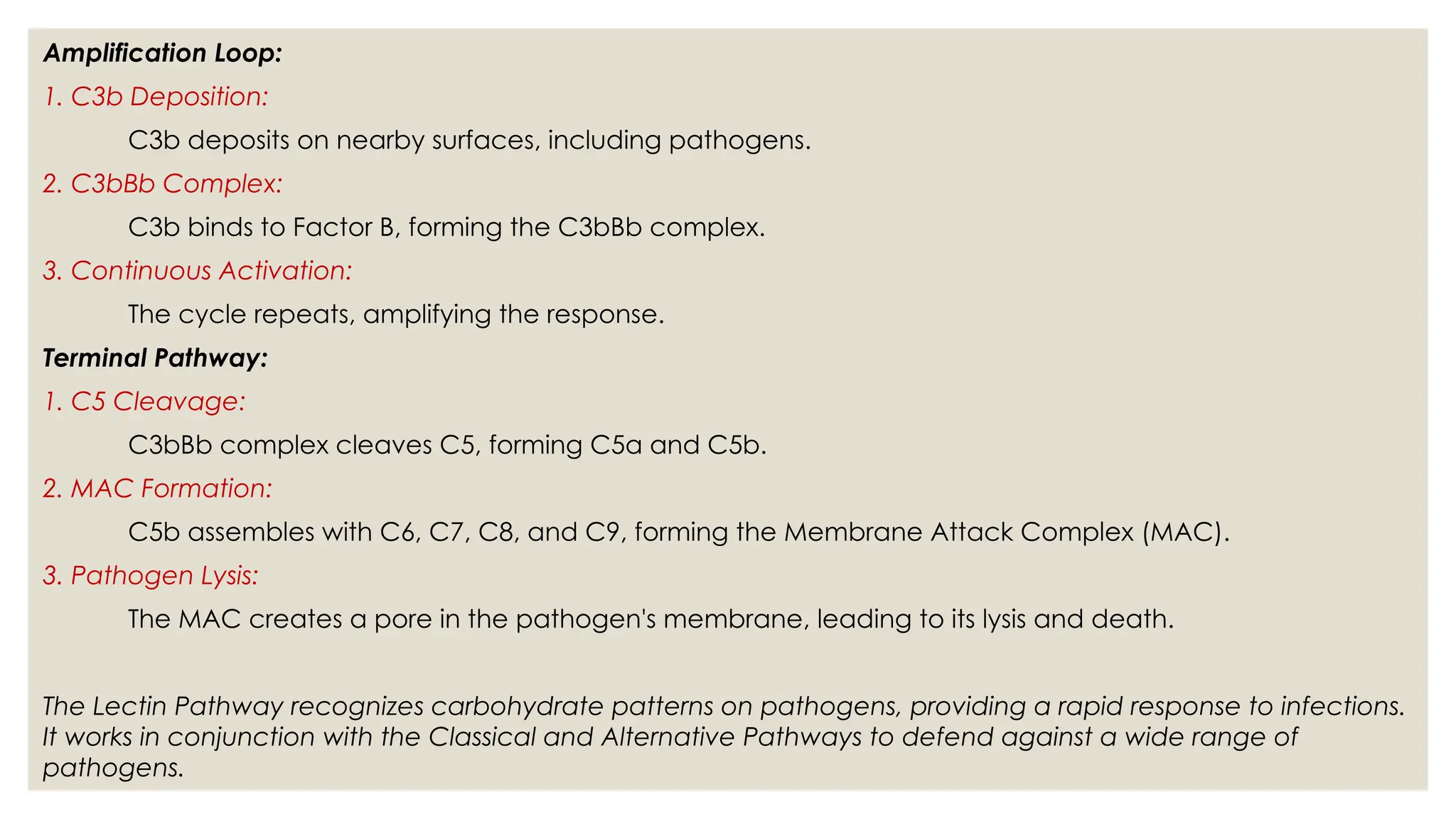 complement system Immune system and immunotechnology | PPT