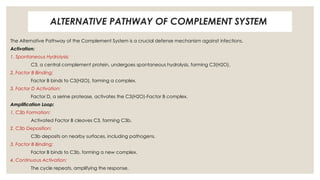complement system Immune system and immunotechnology | PPT