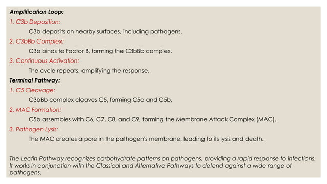 complement system Immune system and immunotechnology | PPT