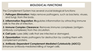 complement system Immune system and immunotechnology | PPT