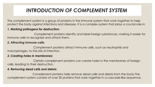 complement system Immune system and immunotechnology | PPT