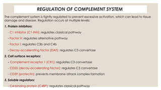 complement system Immune system and immunotechnology | PPT