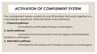 complement system Immune system and immunotechnology | PPT