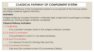 complement system Immune system and immunotechnology | PPT
