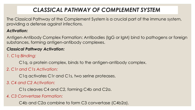 complement system Immune system and immunotechnology | PPT