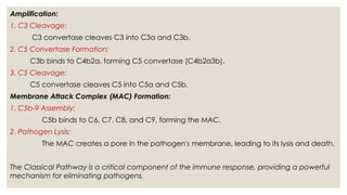 complement system Immune system and immunotechnology | PPT