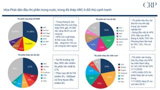 CRP's Case study 1: Hoa Phat Group | PDF