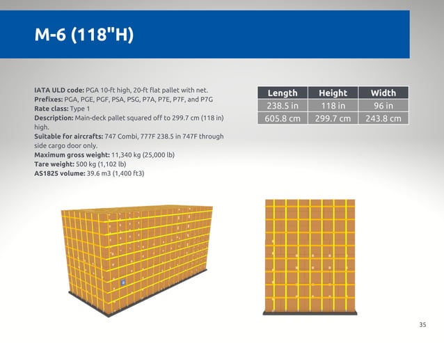 Complete-Air-Freight-Container-Guide.pdf | Air Travel | Travel Type