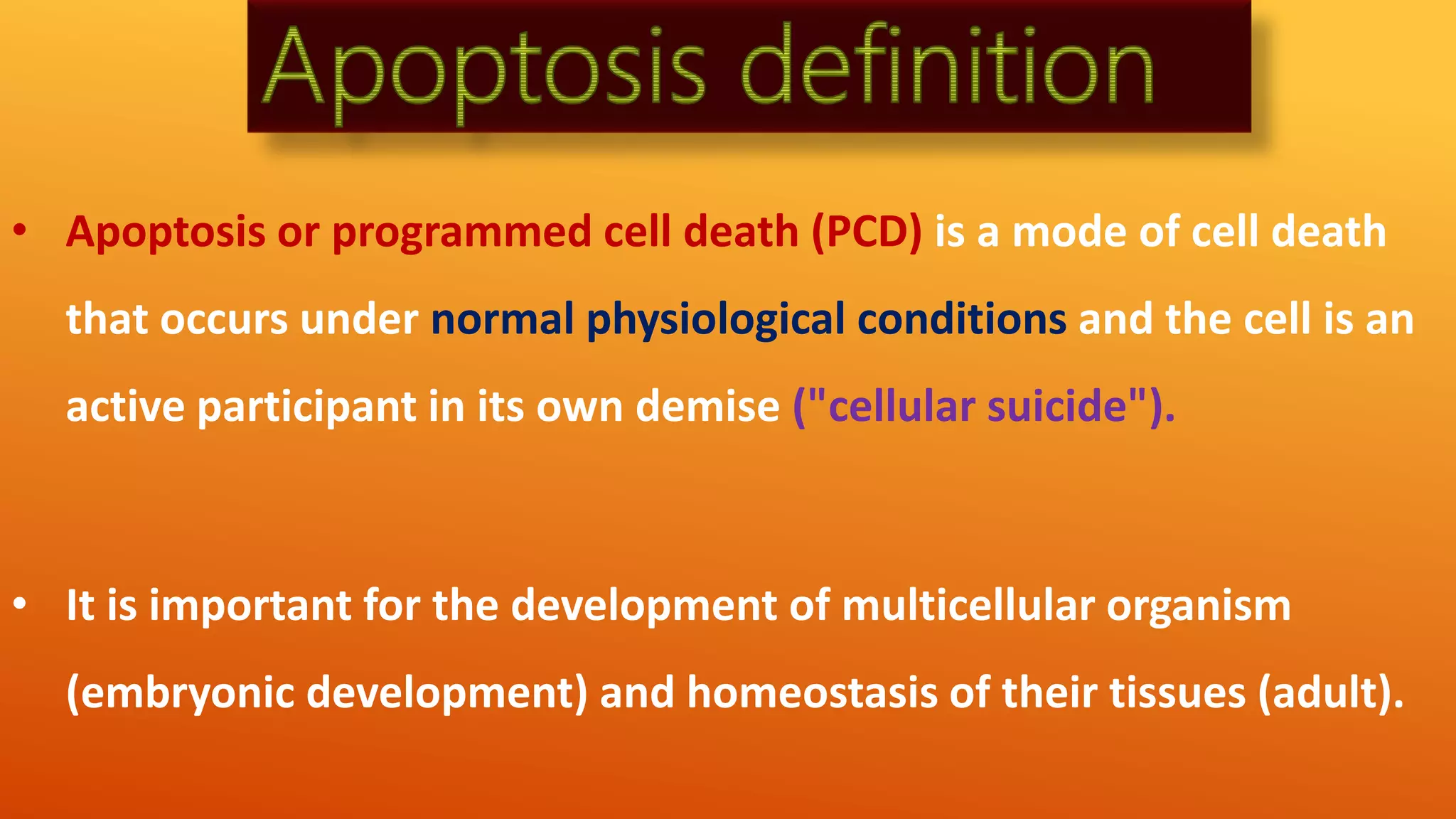 Apoptosis (Intrinsic And Extrinsic Pathway with assays) | PPTX