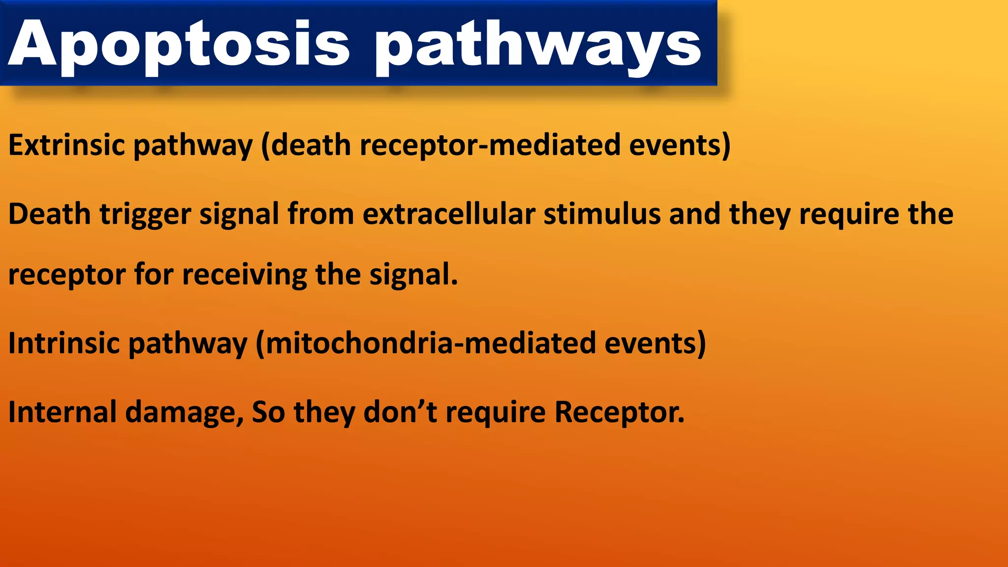 Apoptosis (Intrinsic And Extrinsic Pathway with assays) | PPTX
