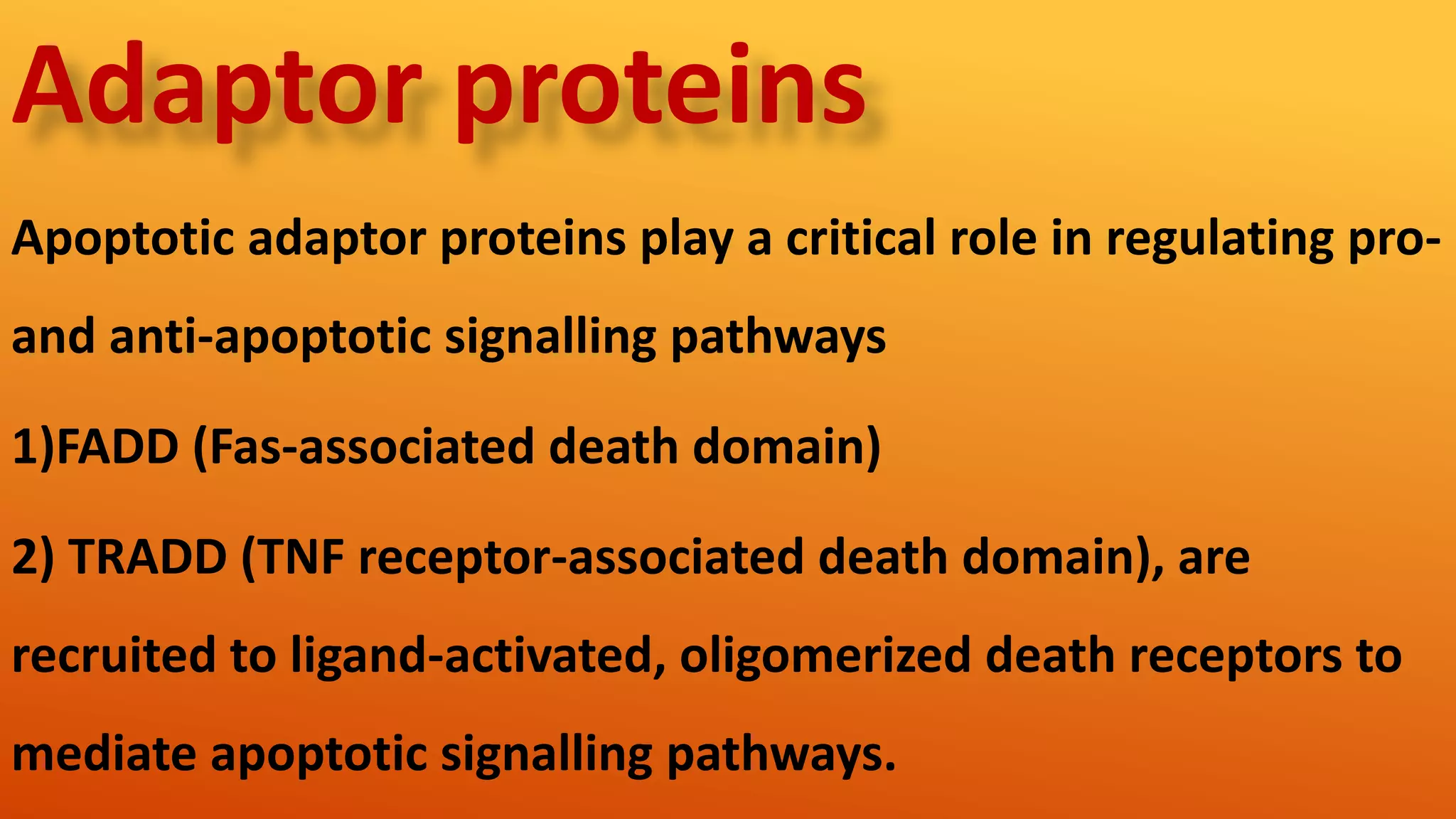 Apoptosis (Intrinsic And Extrinsic Pathway with assays) | PPTX