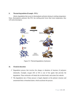 FOOD PACKAGING | PDF | Chemistry | Science