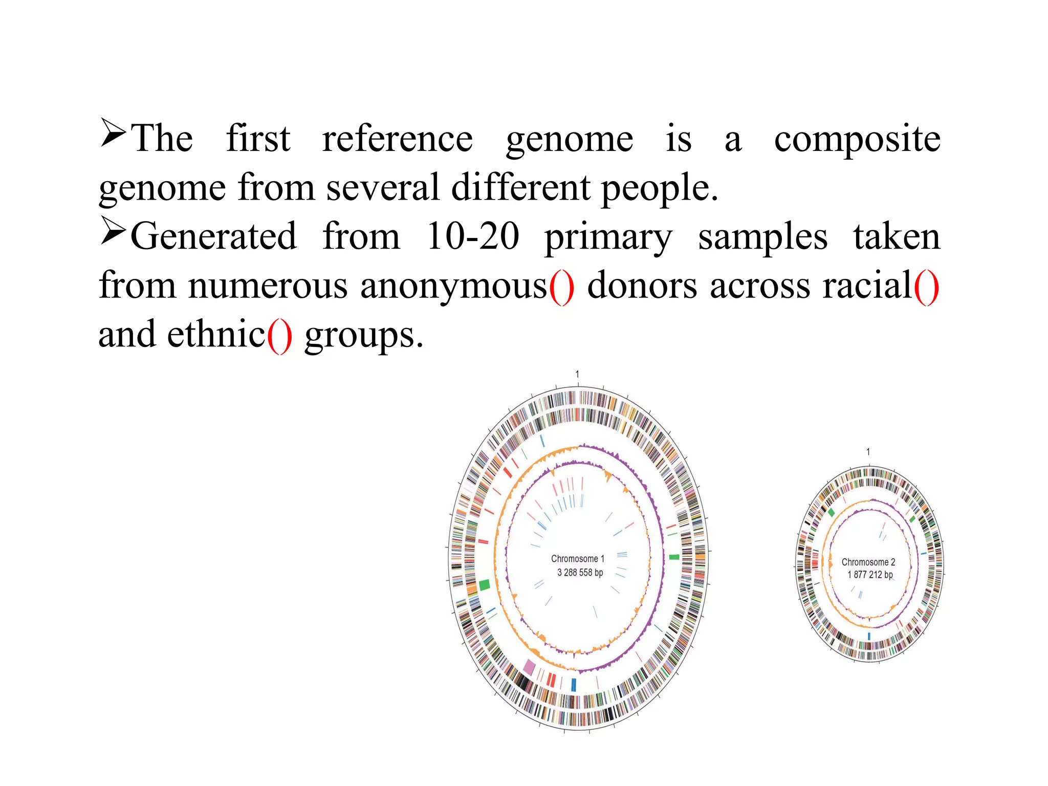 Complete assignment on human Genome Project | PPT