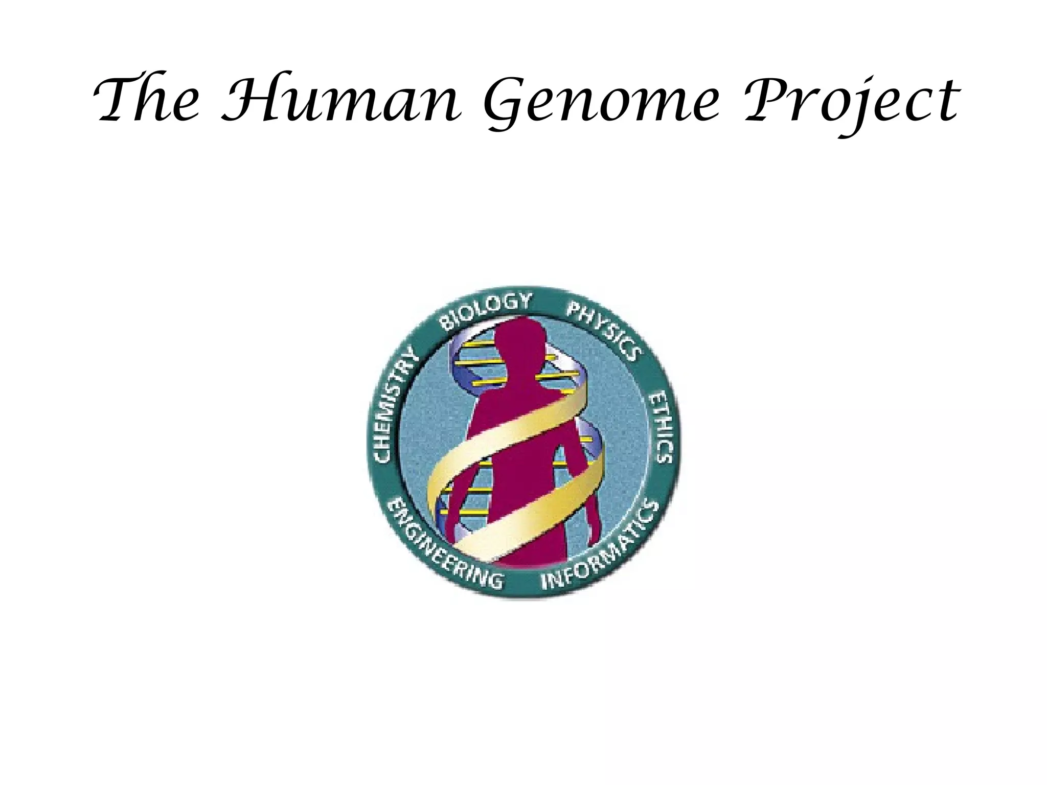 Complete assignment on human Genome Project | PPT | Genetics | Science