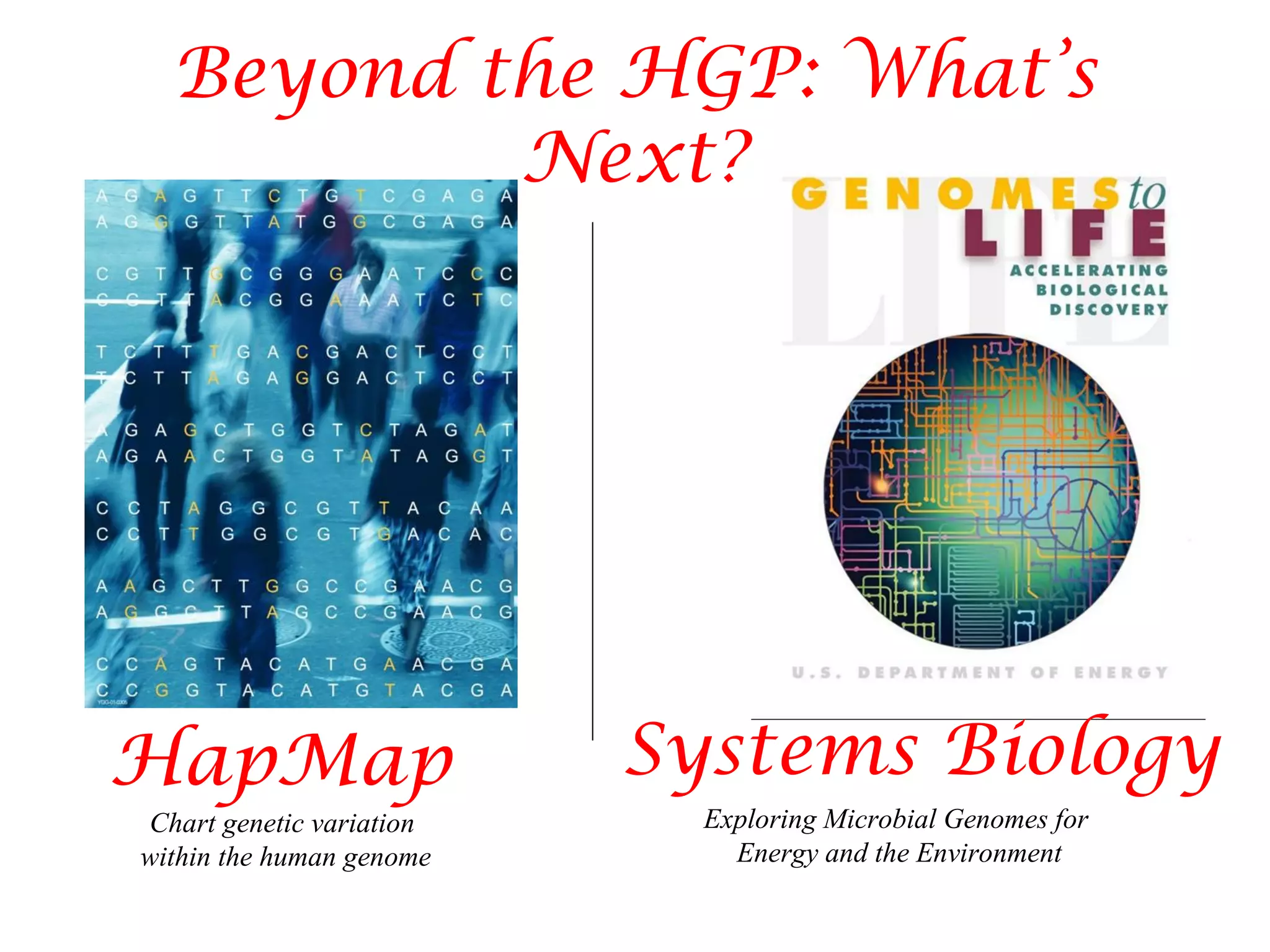 Complete assignment on human Genome Project | PPT