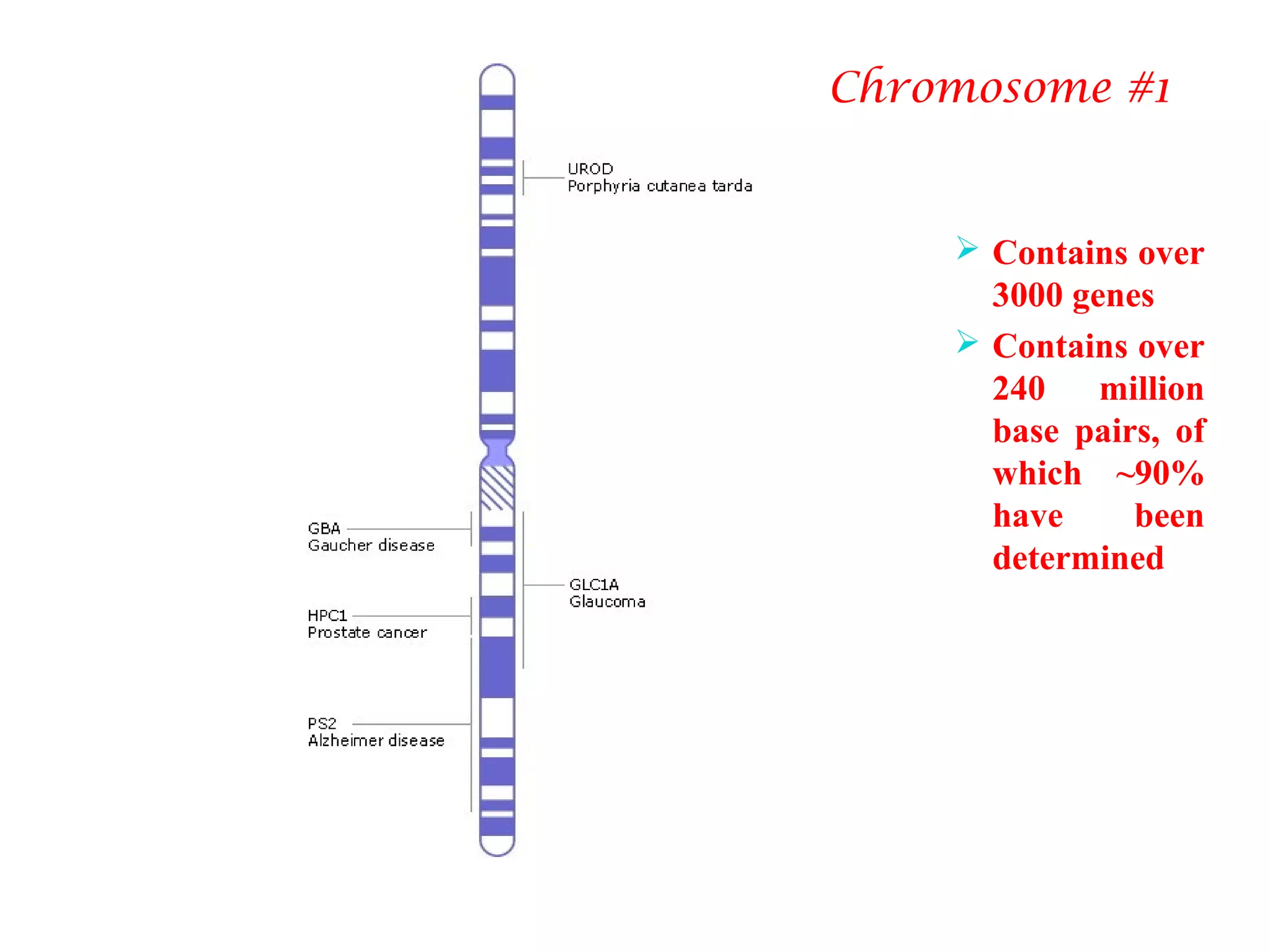 Complete assignment on human Genome Project | PPT