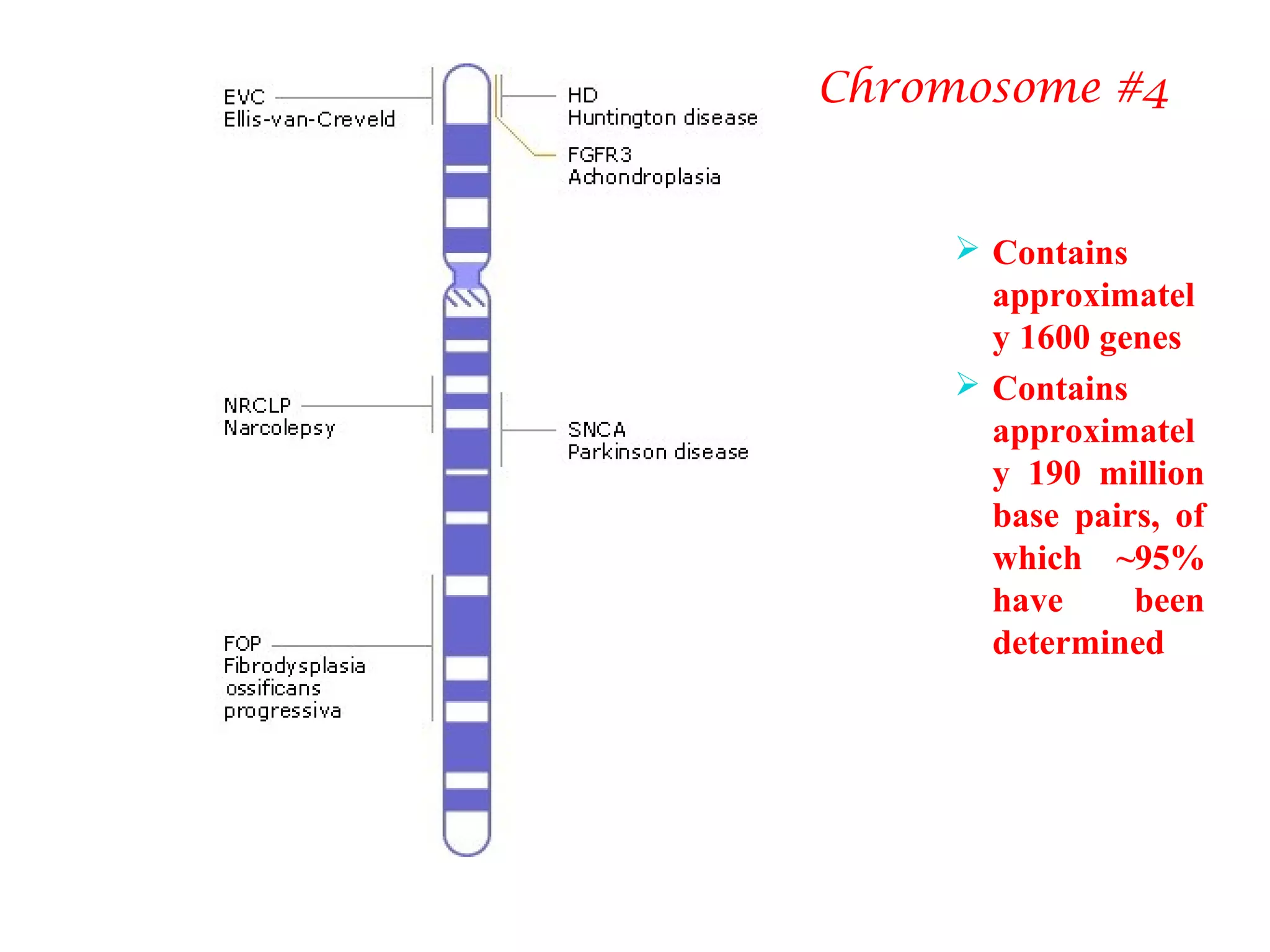 Complete assignment on human Genome Project | PPT