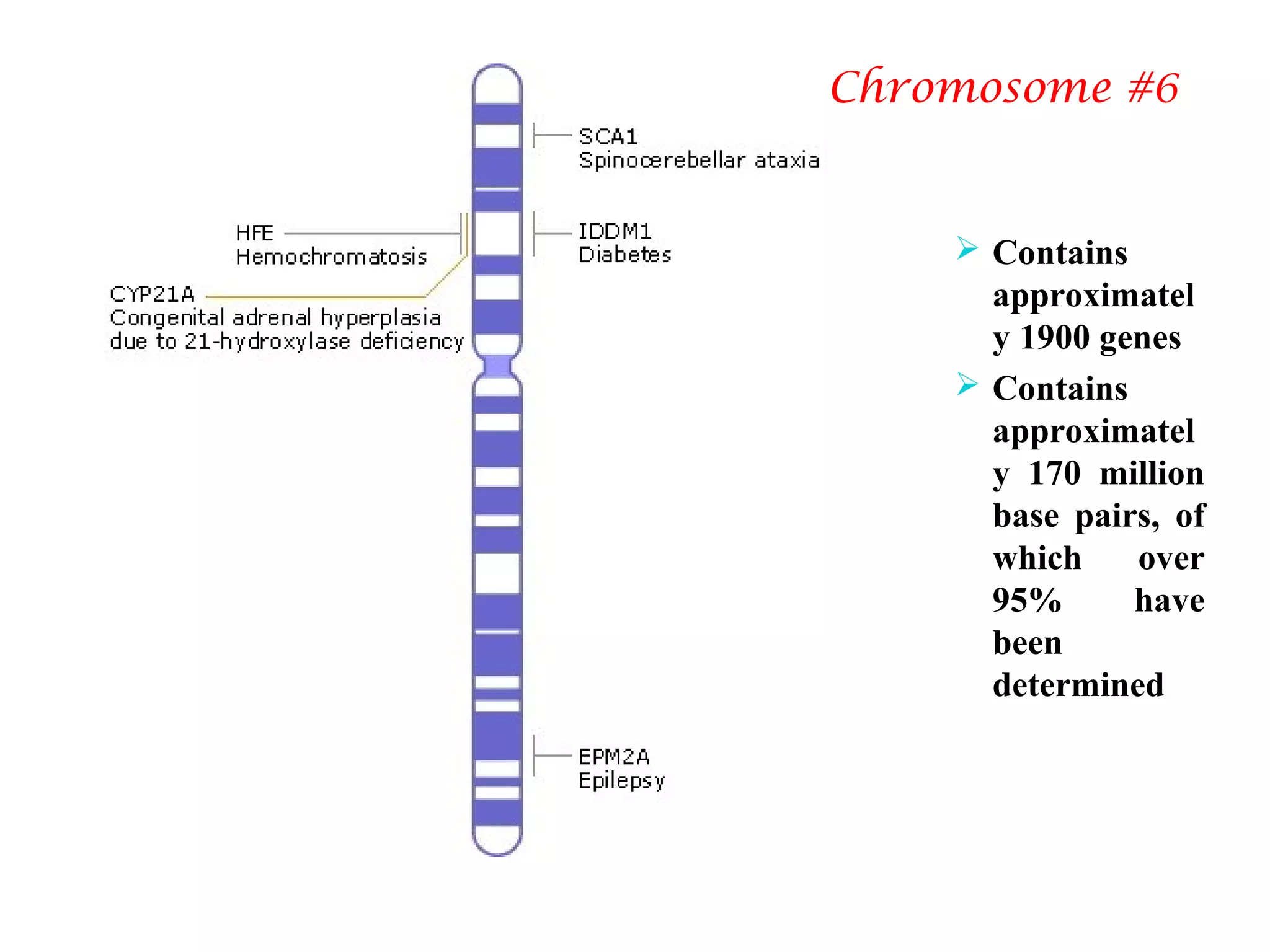 Complete assignment on human Genome Project | PPT