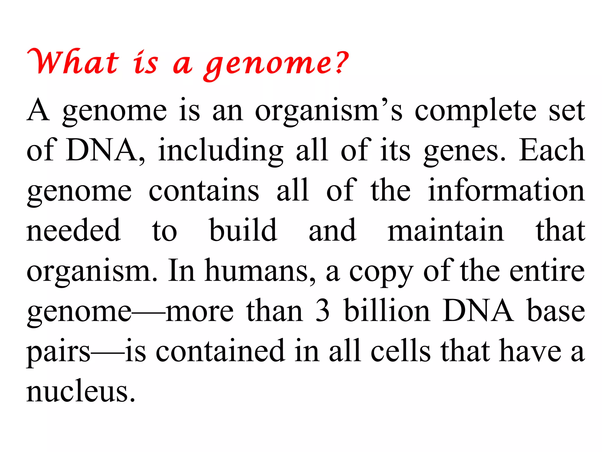 Complete assignment on human Genome Project | PPT
