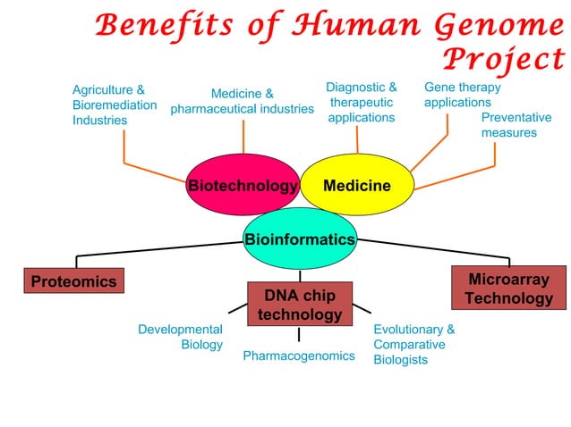Complete assignment on human Genome Project | PPT | Genetics | Science