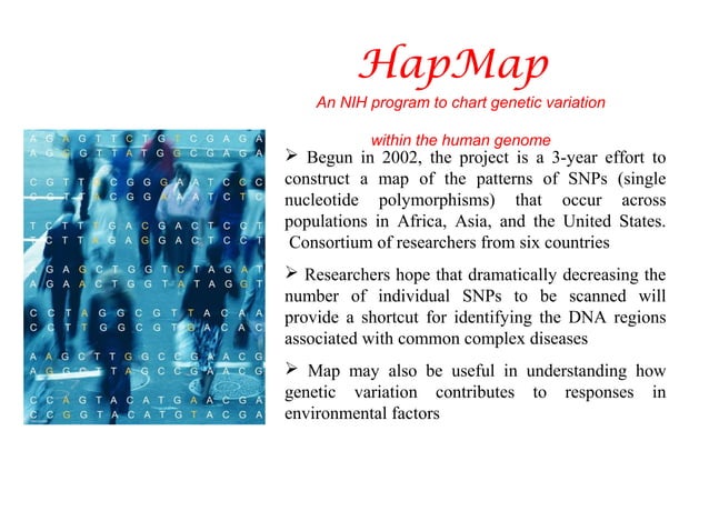 Complete assignment on human Genome Project | PPT | Genetics | Science