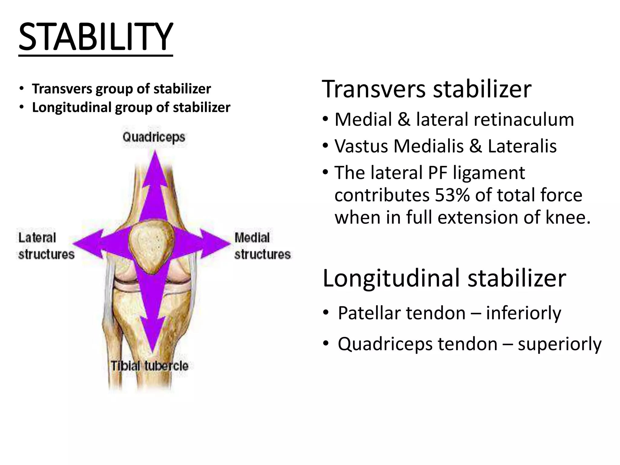 biomechanic of knee joint | PPTX