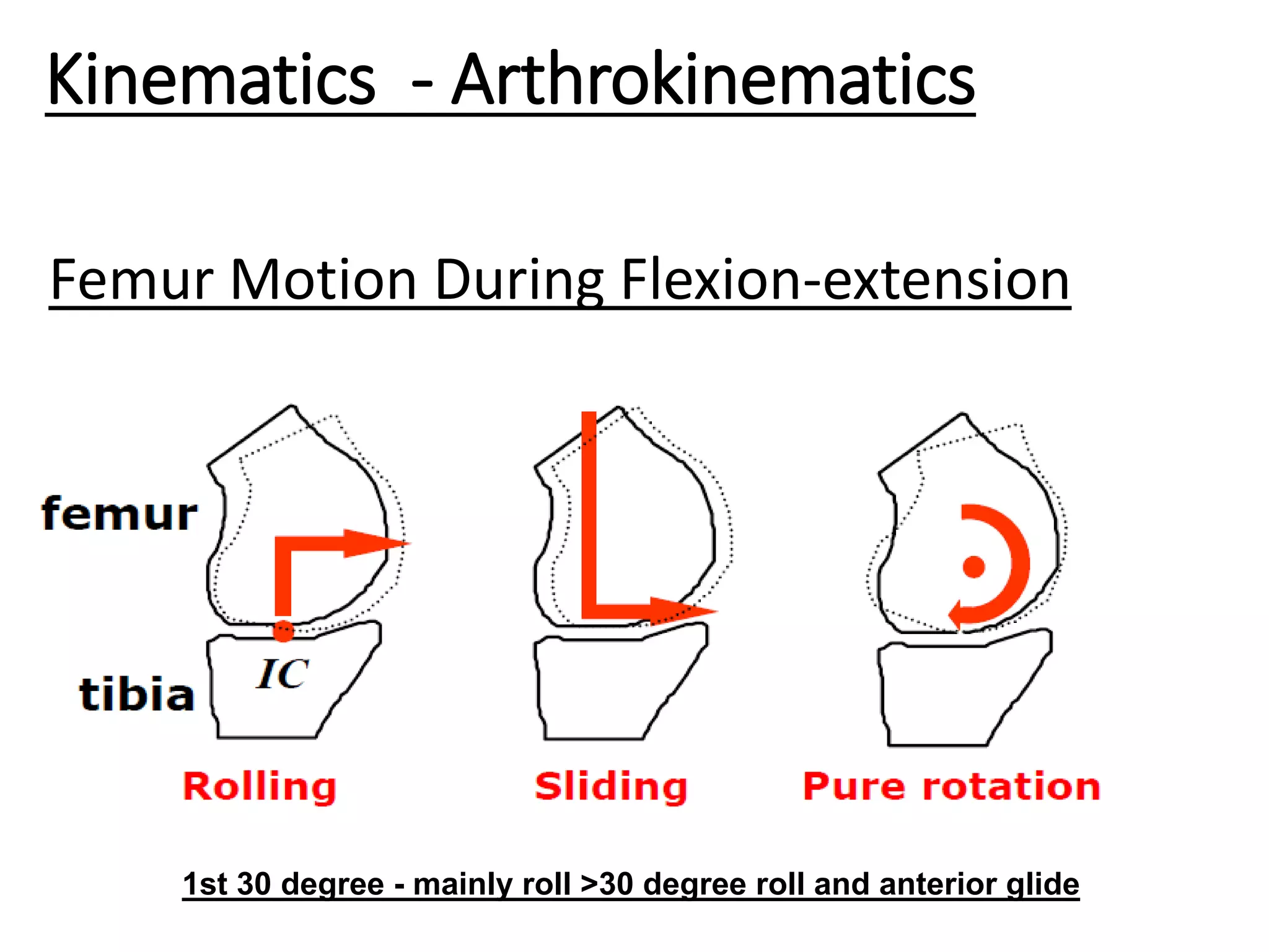 biomechanic of knee joint | PPTX