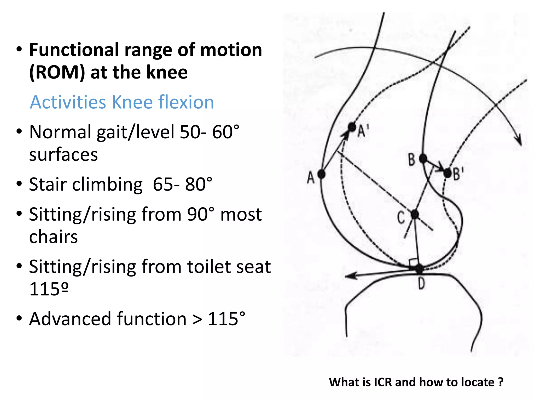biomechanic of knee joint | PPTX