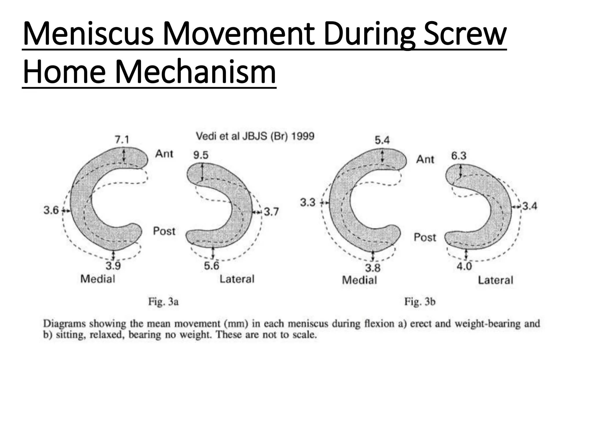biomechanic of knee joint | PPTX