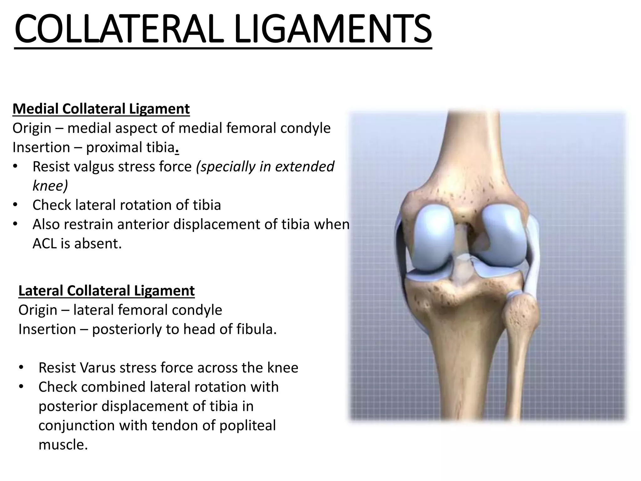 biomechanic of knee joint | PPTX