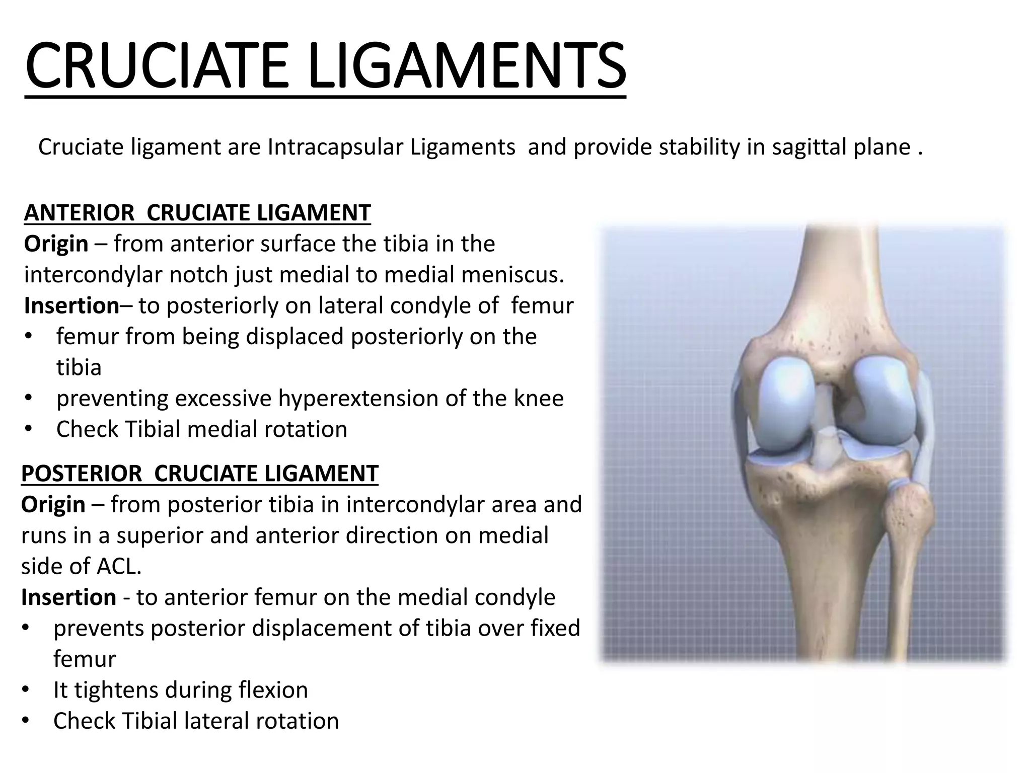biomechanic of knee joint | PPTX
