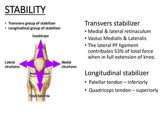 biomechanic of knee joint | PPTX