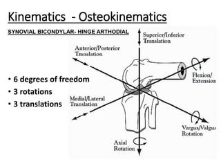 biomechanic of knee joint | PPTX
