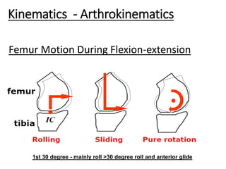 biomechanic of knee joint | PPTX