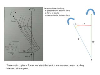 biomechanic of knee joint | PPTX